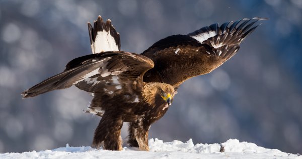 May 2017 Highly Commended - The Societies of Photographers ...