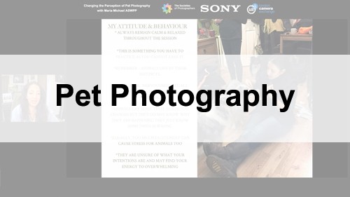 Webinars - The Societies of Photographers | International Photography ...