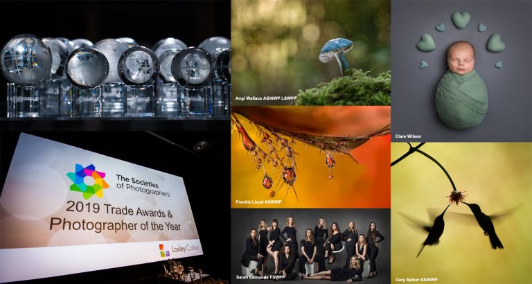 Monthly Image Competition: Showcase Your Photography Skills - The ...