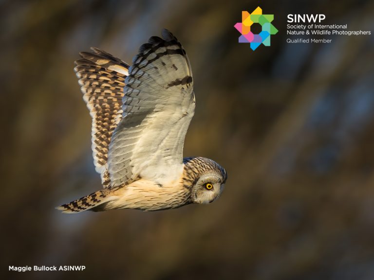 Maggie Bullock qualifies with The Society of International Nature and ...