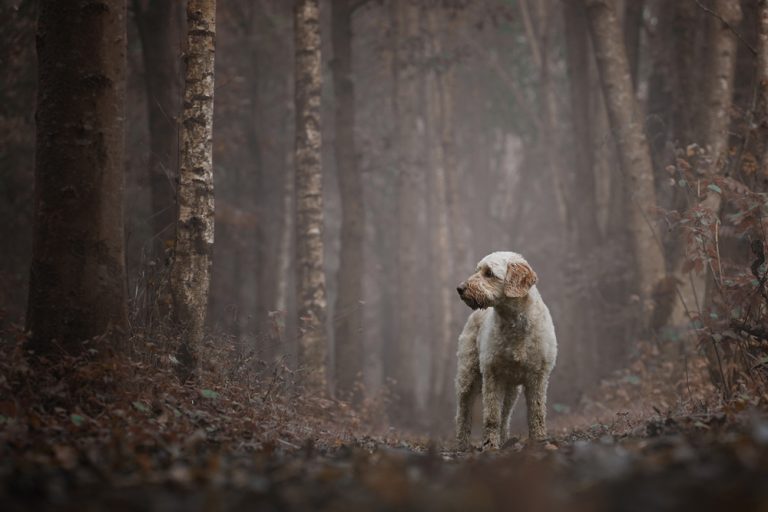 January 2024 Highly Commended - The Society of Photographers ...