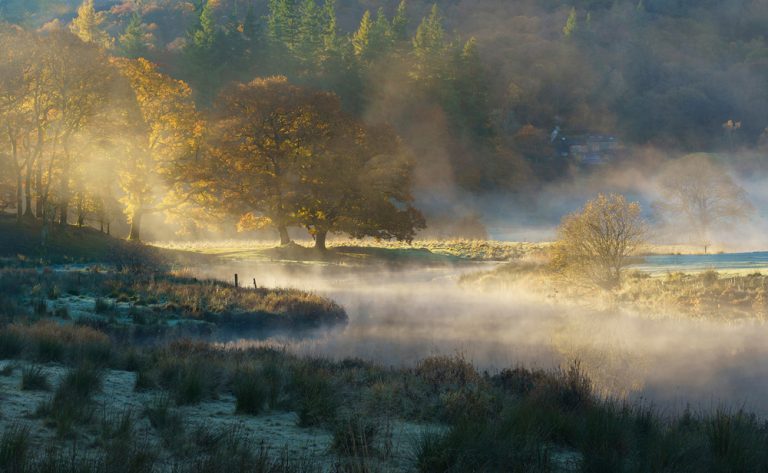 January 2024 Highly Commended - The Society of Photographers ...