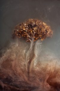 January 2024 Highly Commended - The Society of Photographers ...