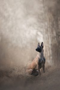 January 2024 Highly Commended - The Society of Photographers ...