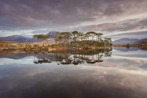 January 2024 Highly Commended - The Society of Photographers ...