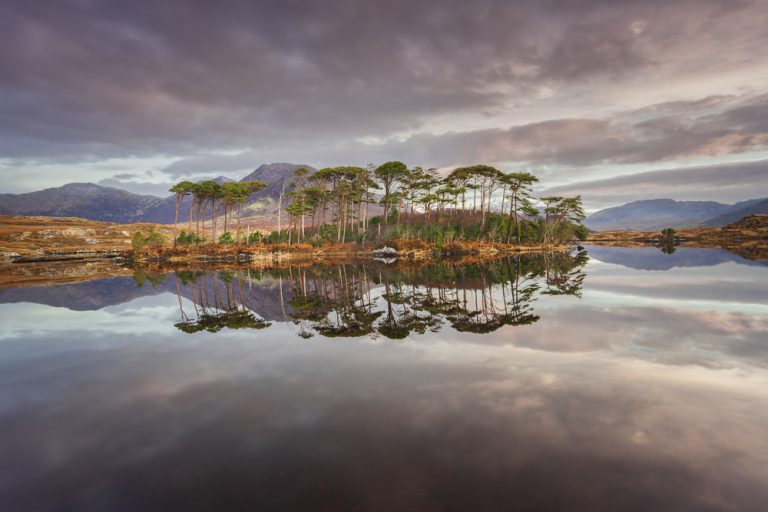 January 2024 Highly Commended - The Society of Photographers ...