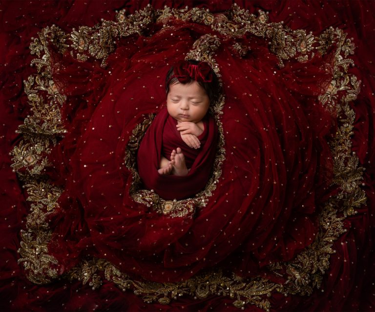 January 2024 Highly Commended - The Society of Photographers ...