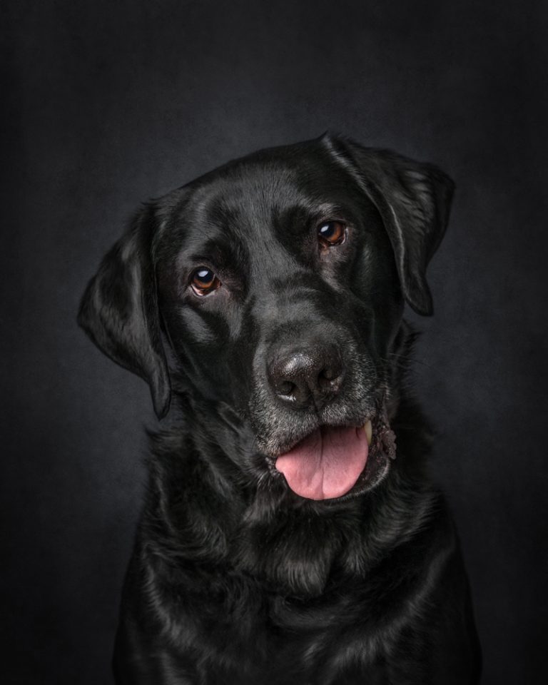 January 2024 Highly Commended - The Society of Photographers ...