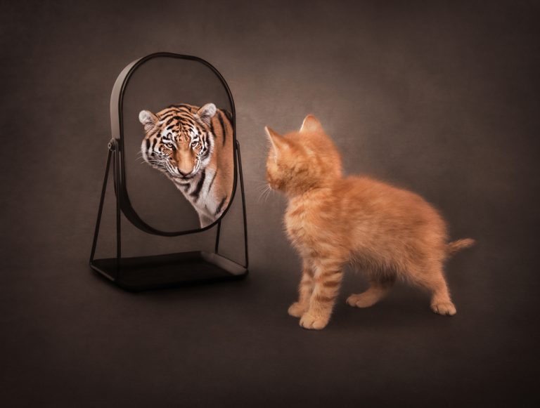 January 2024 Highly Commended - The Society of Photographers ...