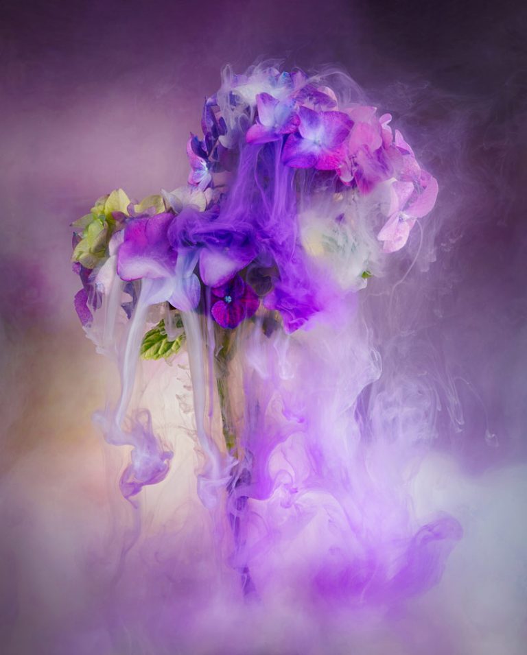 April 2025 Highly Commended - The Society of Photographers ...