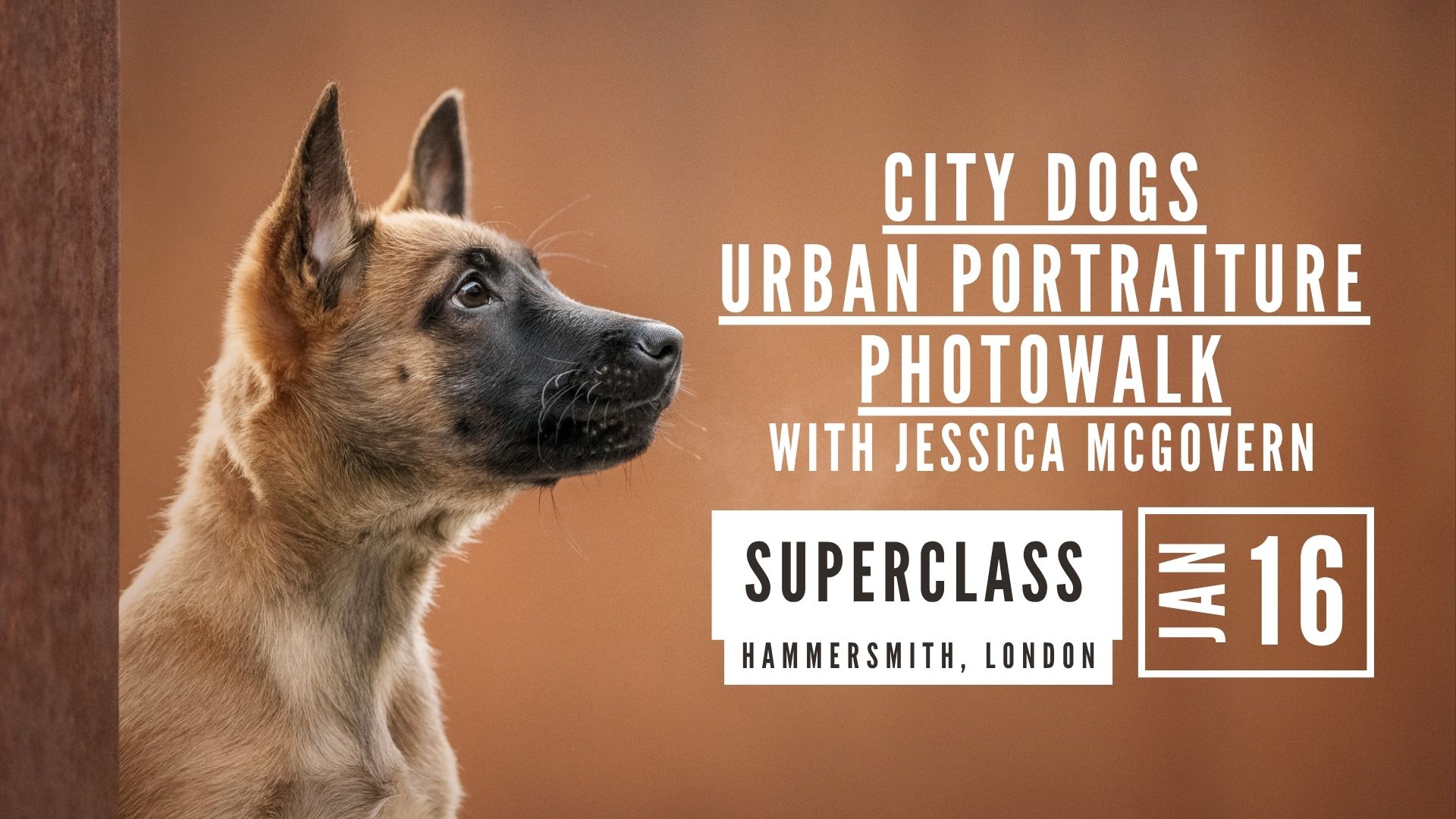 Capture City Dogs Like a Pro – Join Jessica McGovern for an Urban Portraiture Photowalk at the ...