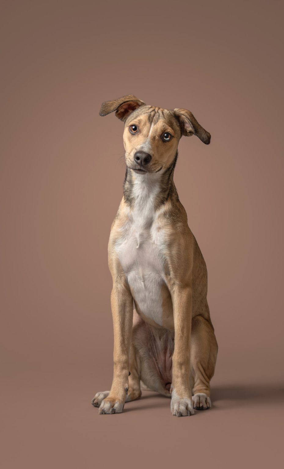 October 2025 Highly Commended - The Society of Photographers ...